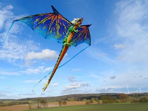 Flugdrachen Drachen Einleiner 3D-Drache 193cm | eBay.de