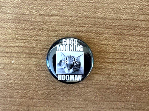 Funny Cat Pin Button Good Morning Human Hooman Cat Meme Backpack Pin 1 ...