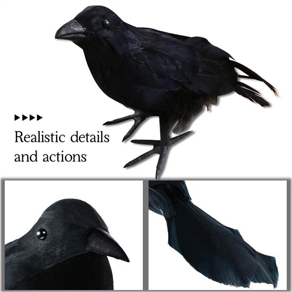 6Pcs Black Lifesize Raven Movie Prop Fake Crow Halloween Hunting Decor ...