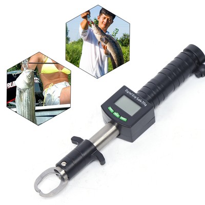 Scales - Fishing Scale