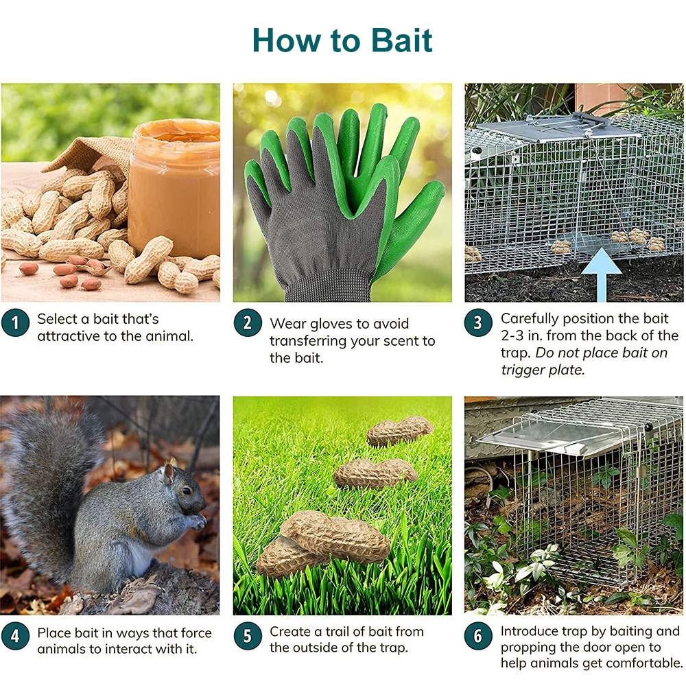 TRAP Humane Possum Feral Cage Cat Rabbit Bird Animal Dog Hare Fox Live ...