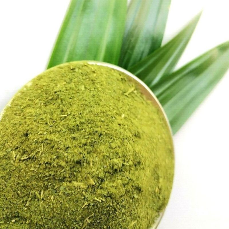 Dried Pandanus Amaryllifolius Natural Ceylon Organic Rampe Pandan ...