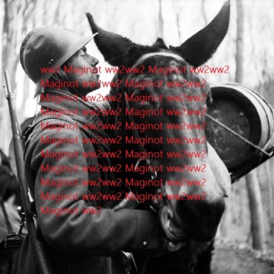 Photo Ligne Maginot Lorraine Moselle Thionville Metz fortifié RIF ...