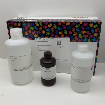 Porcelain - Stain Kit