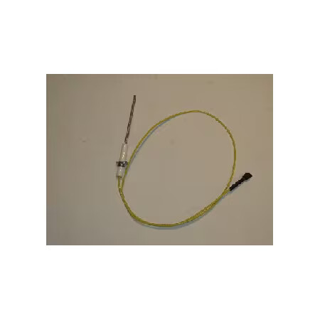 Goodman C6437502 Flame Sensor | eBay