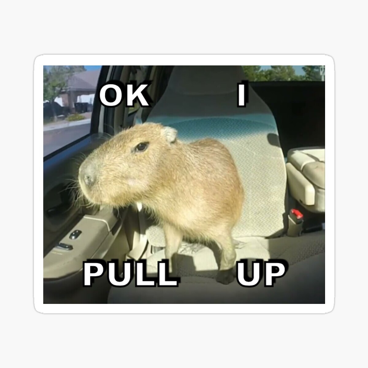 Capybara Meme Mordred