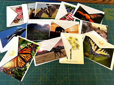 13 Pretty Blank Greeting Cards Unused + Envelopes Multiple Designs #3 ...