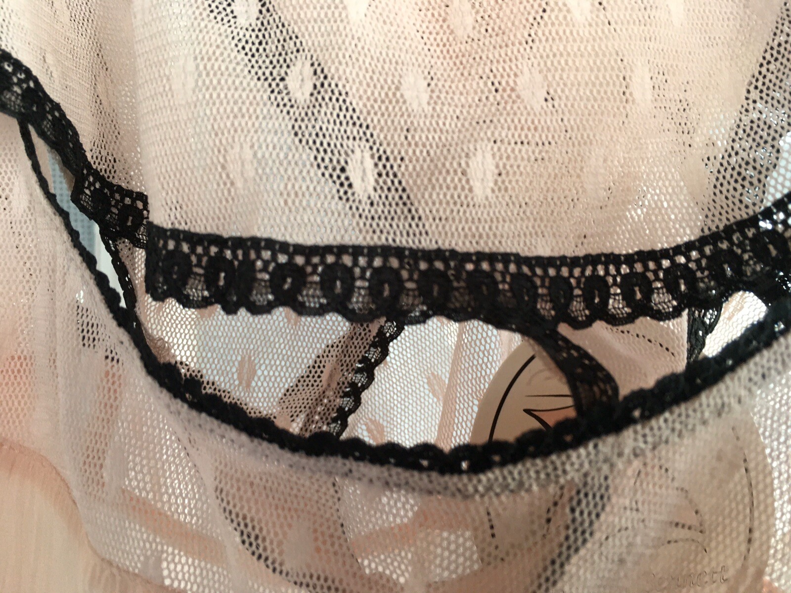 Jacalyn Bennett Lingerie Collection Sheer Nightgown Set Panty S Pink ...