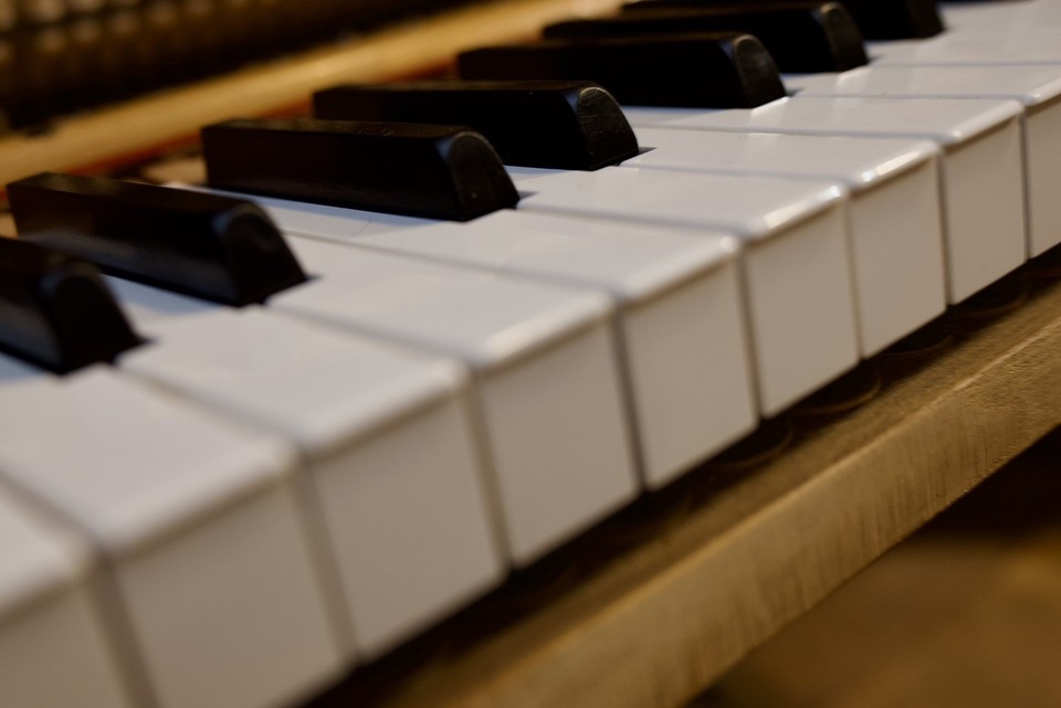 1925 Steinway Model A3 Grand Piano Fully Restored Action, Strings ...