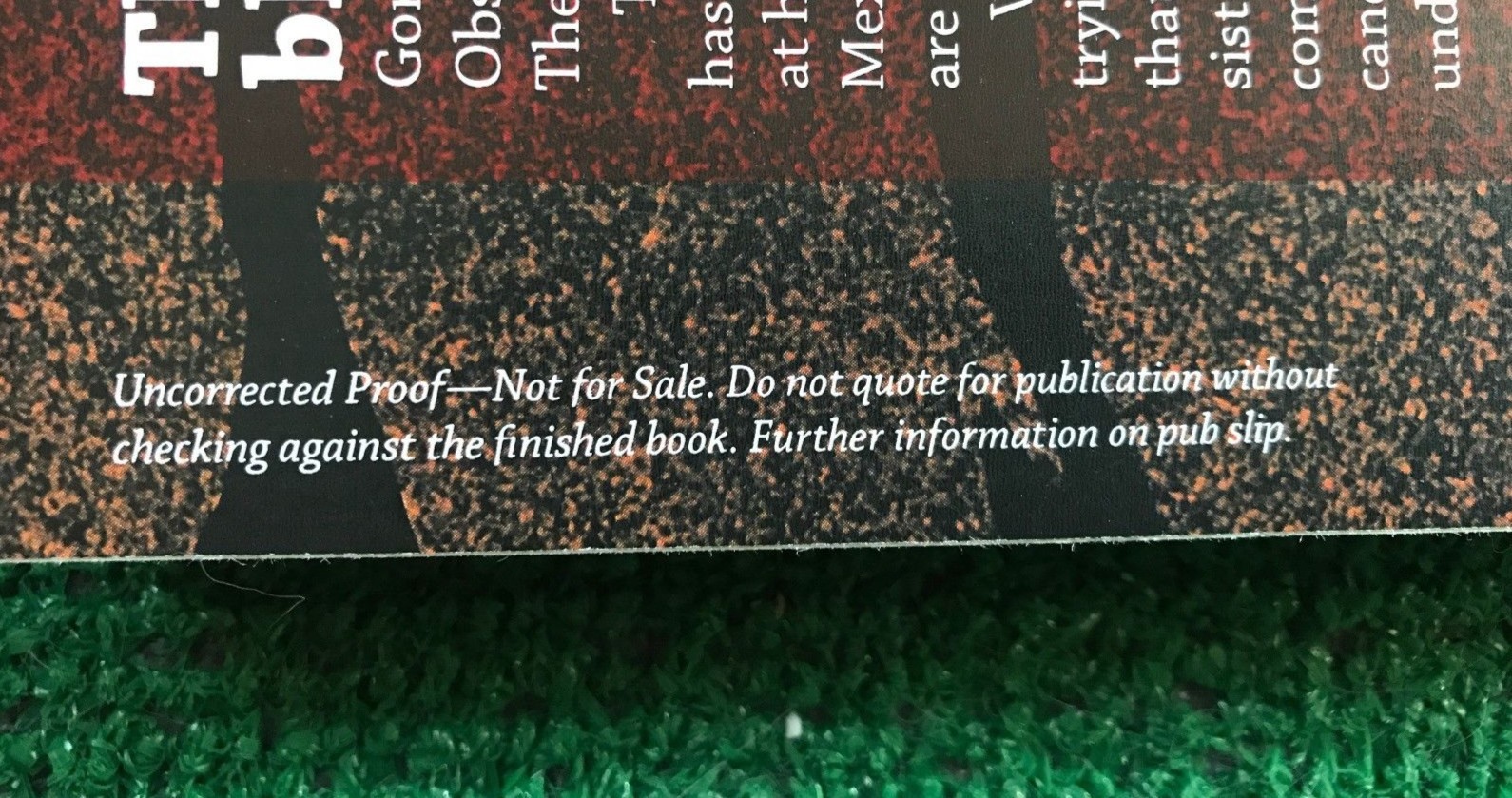 Tell Me Something Real by Calla Devlin, Advance Reader's Copy, New ...