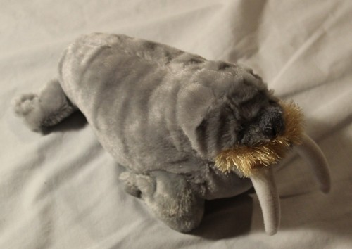Webkinz Walrus new condition with no tag -- Complete your collection ...