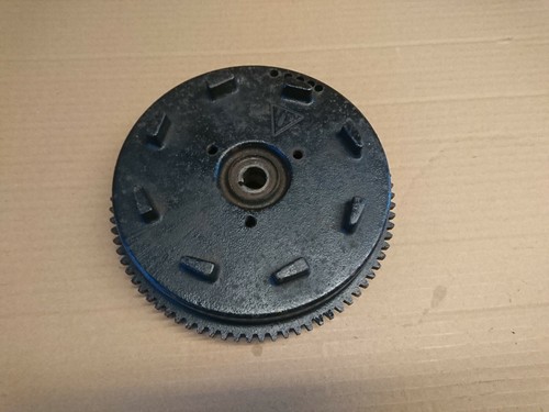 1995-1999 Johnson Evinrude Outboard 9.9-15hp 4-Stroke Flywheel Electric ...