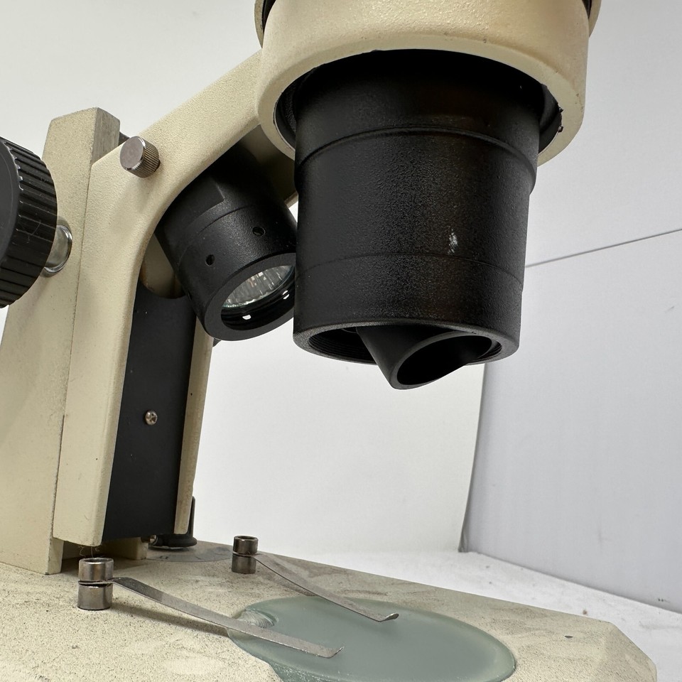 Fisher Scientific Stereomaster Stereo Microscope 10x WF Eyepieces Dual ...