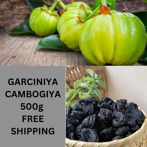 Goraka Garcinia Ceylon Dried Cambogia Organic Natural Quality Healthy ...