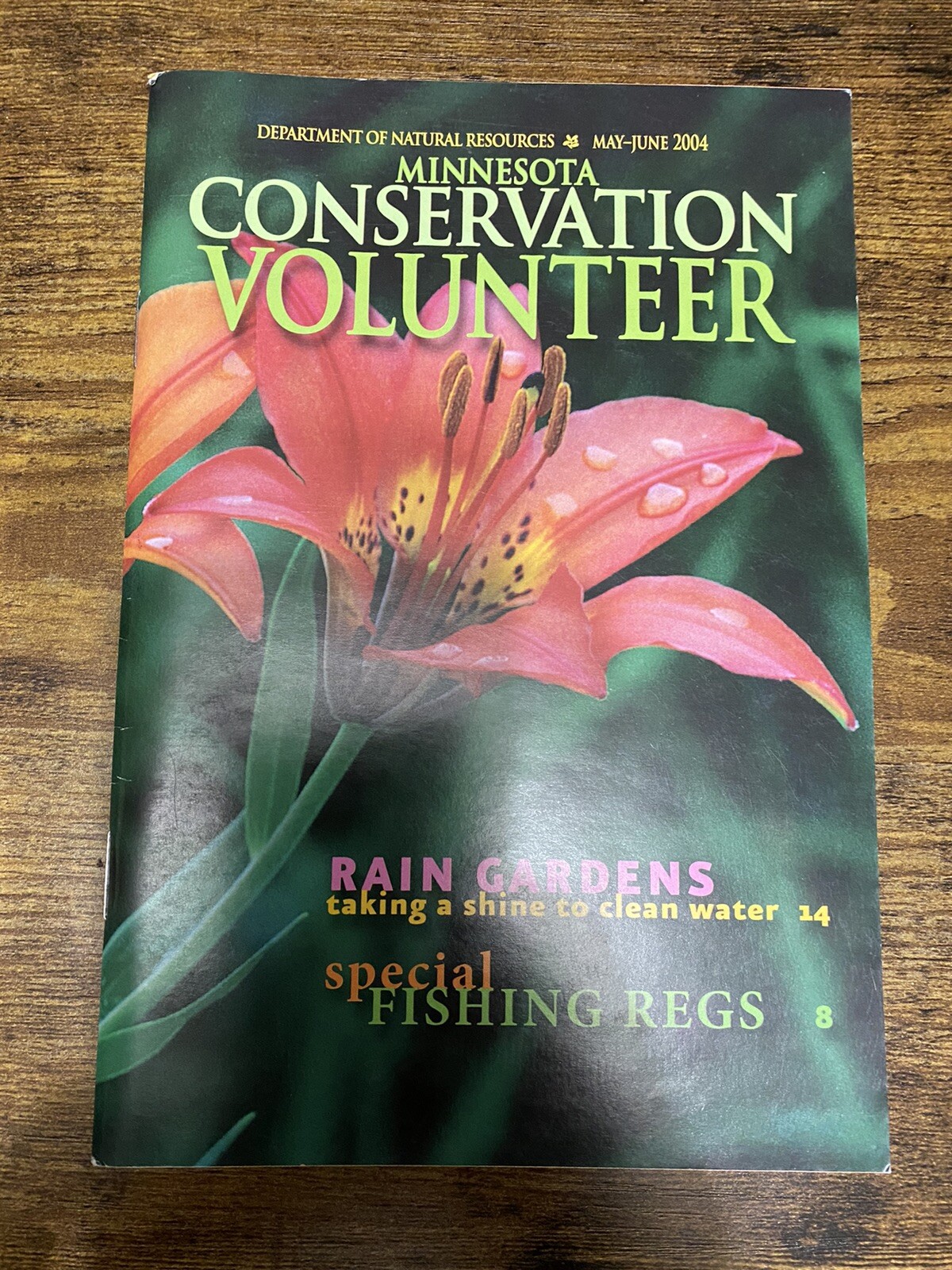 Vintage Minnesota Conservation Volunteer Natural Resources 2004 ...