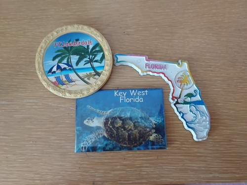 Florida Refrigerator Magnets Set Of Three Colorful | eBay