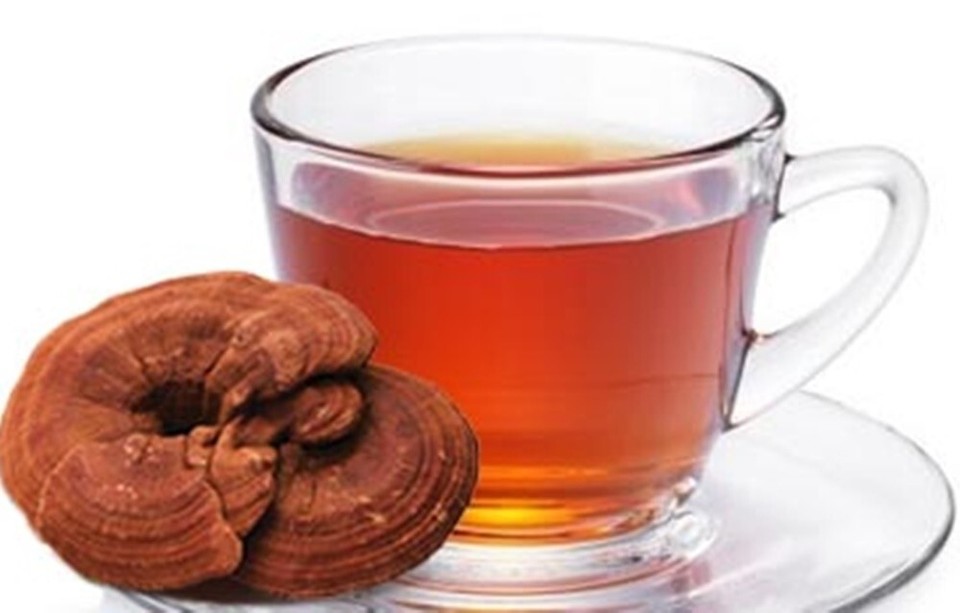 120 Tea Bags Ganoderma Lucidum Natural Tea Thai Herbal Reishi Lingzhi ...