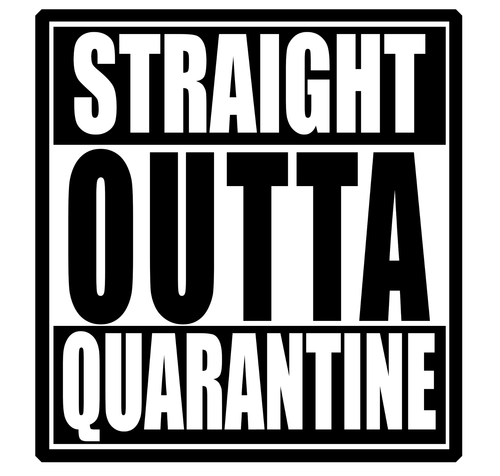Straight Outta Quarantine vinyl decal bumper sticker 5" x 6" | eBay