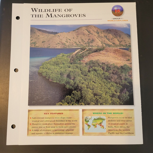 Wildlife Explorer Card 16 Group 7 World Explorer Wildlife Of The ...
