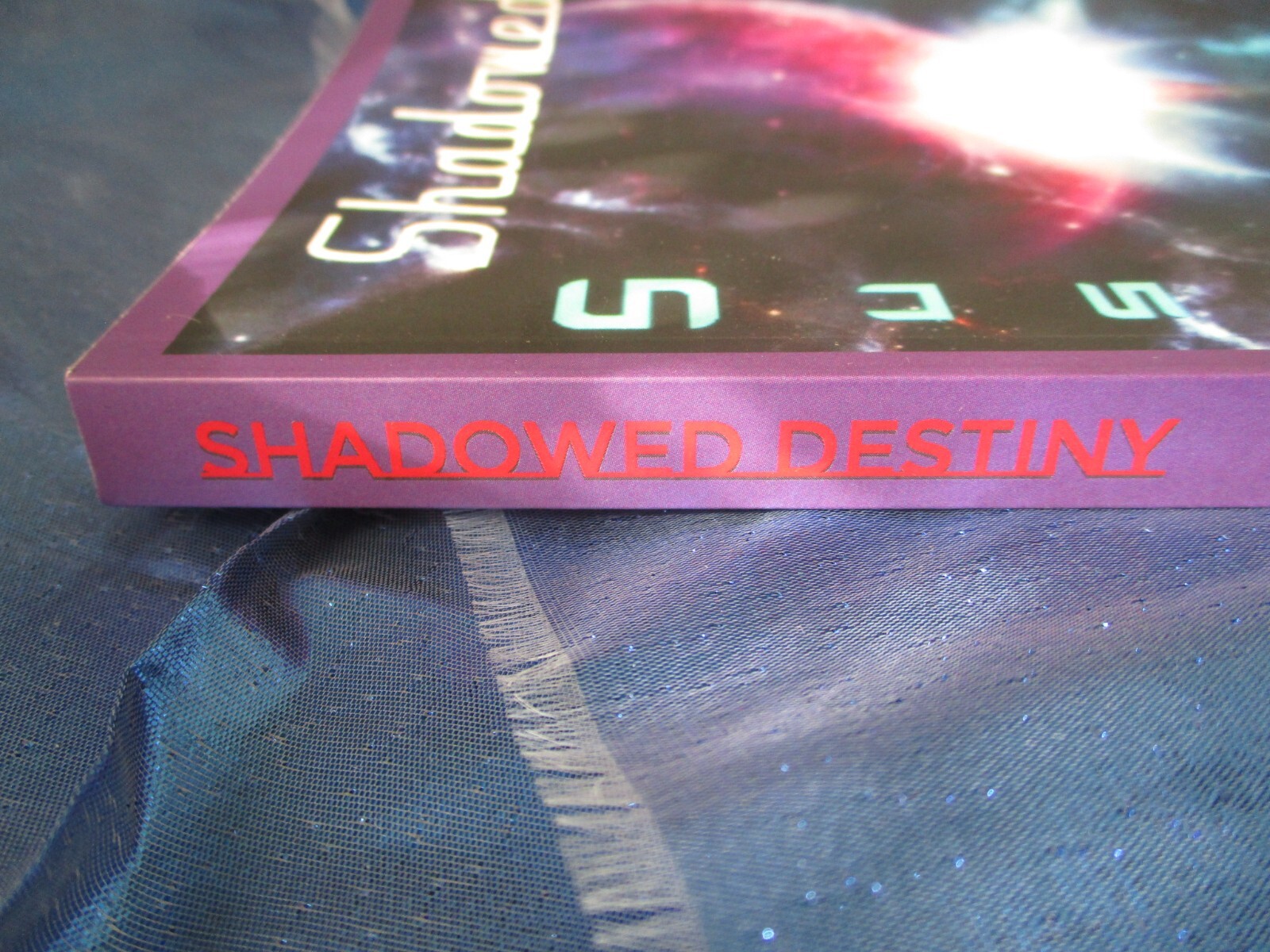 Shadowed Destiny by Susanna Abbott (Knights & Riders Book 4) | eBay