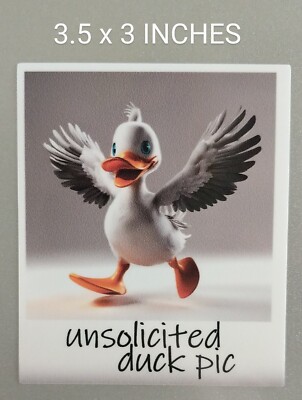3.5" Unsolicited Duck Pic Decal Vinyl Sticker Chicken Dating App Single ...
