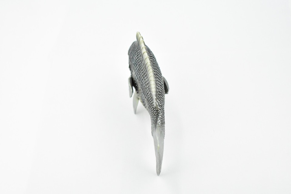 Fish, Tilapia, Nile Perch, Realistic Toy Figure, Model, Replica, 7 ...