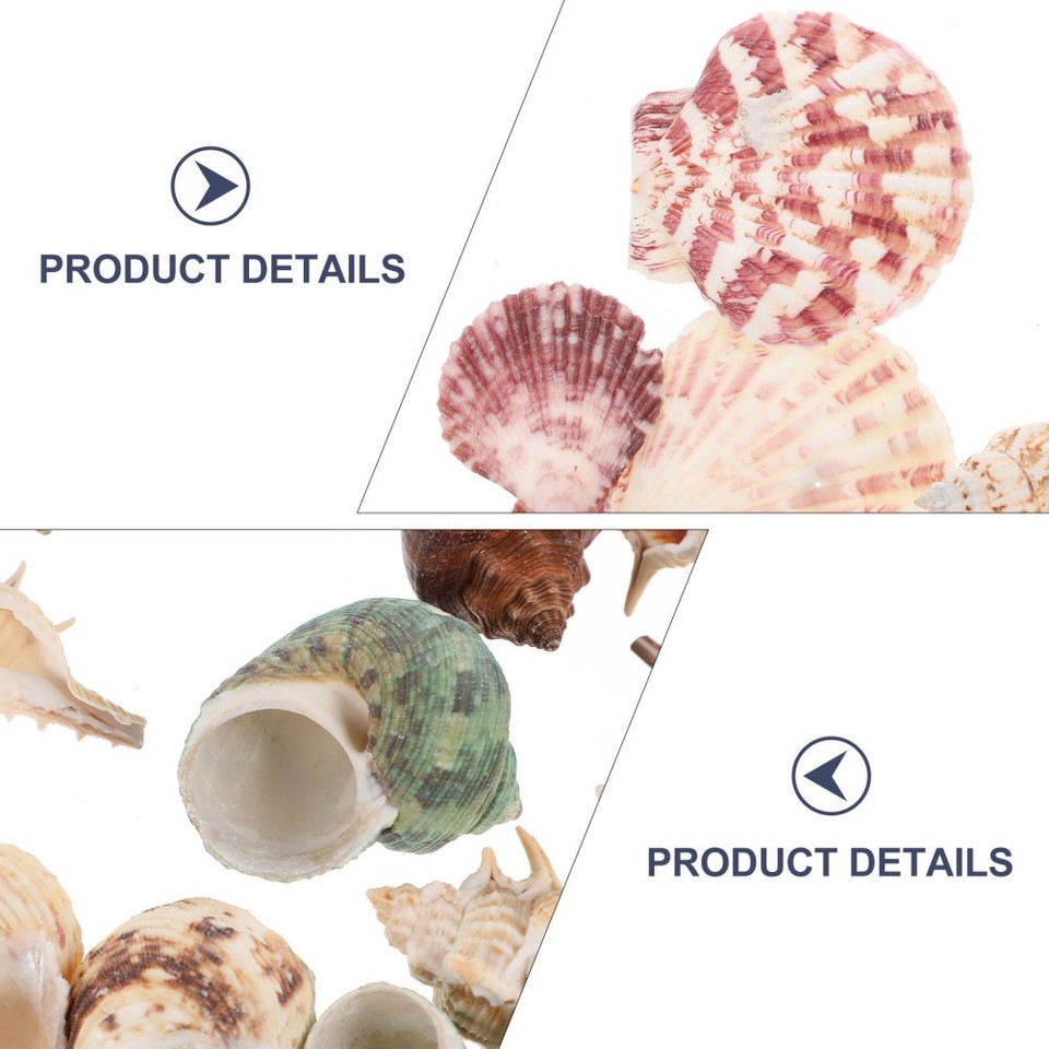 1 Pack 200g Aquarium Simulation Conch Shells Decor Fish Tank Landscape ...
