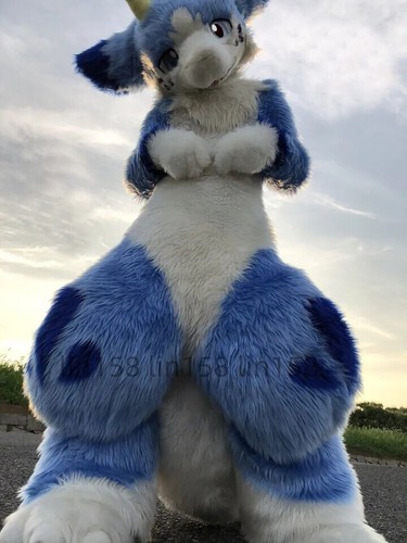 Long Fur Husky Dog Fox Mascot Costume Fursuit Halloween Suit Cosplay ...