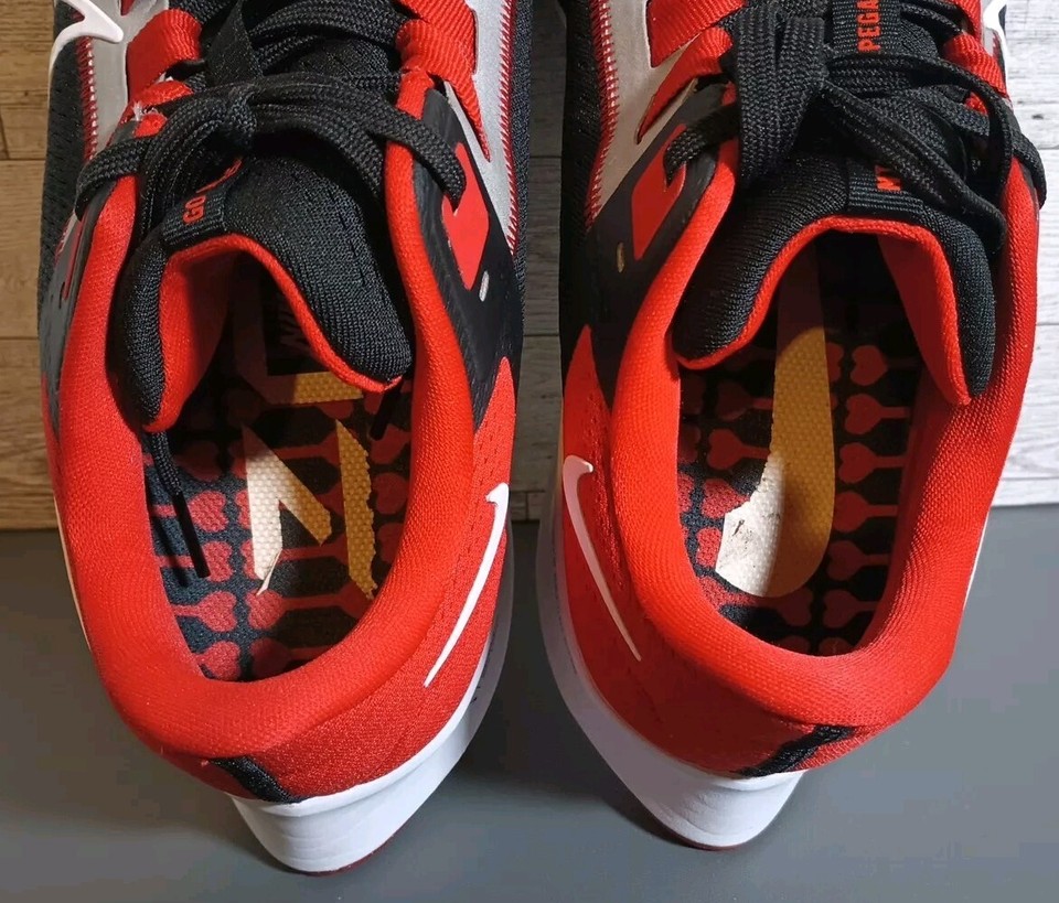 Nike Zoom Pegasus 38 Georgia Bulldogs UGA Dawgs Shoes Mens 12 DJ0828 ...