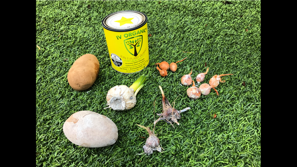 IV Organic 3-in-1 Plant Guard, 1 Pint (WHITE) | eBay