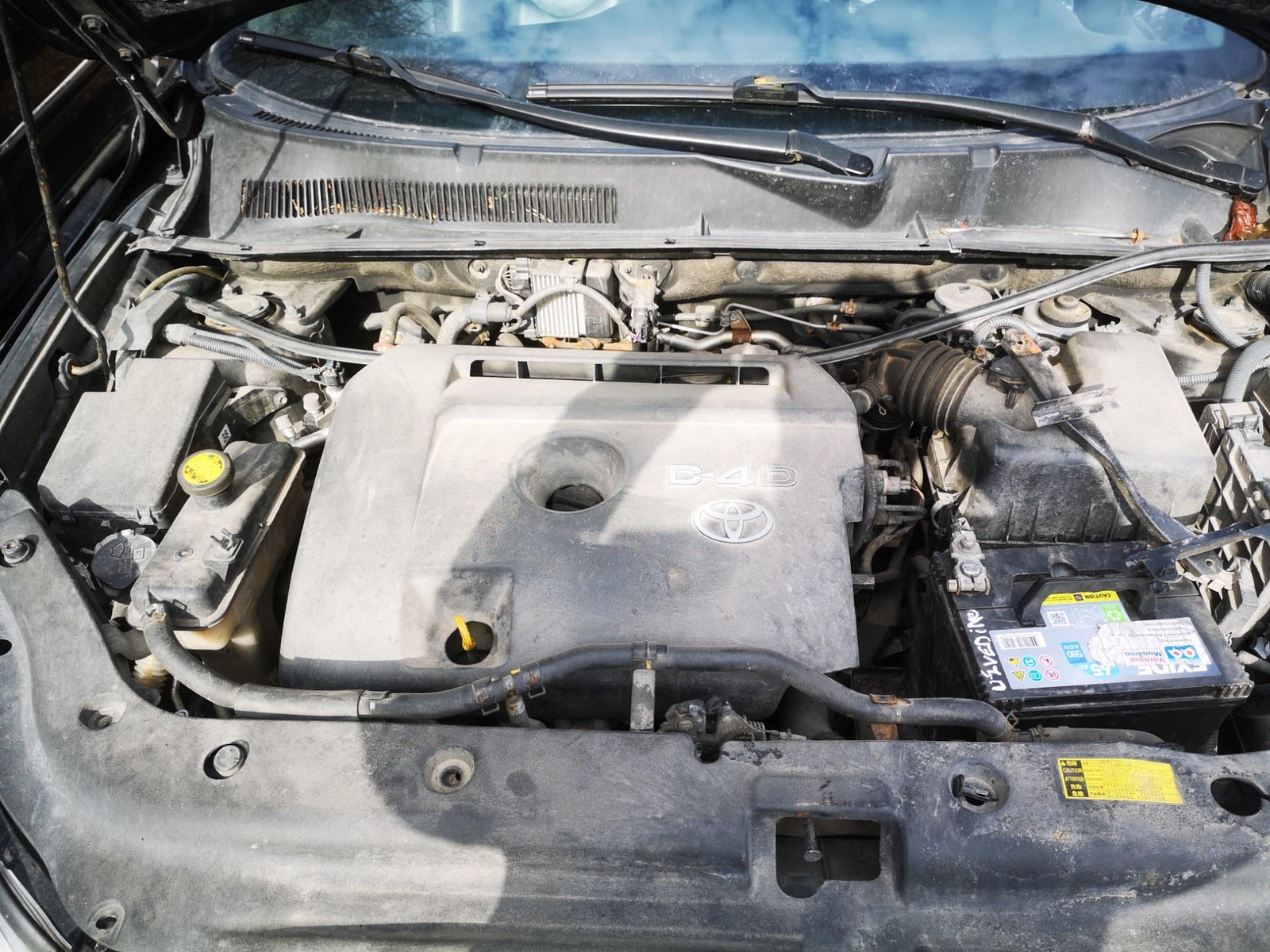 4853142130 48531-42130 Shock Absorber - Suspension Strut Assembly ...