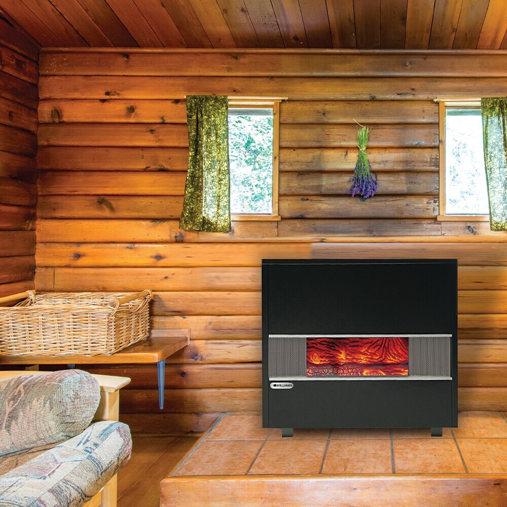 Williams 65,000 BTU Console Heater, 71% Efficiency, LP, Factory ...