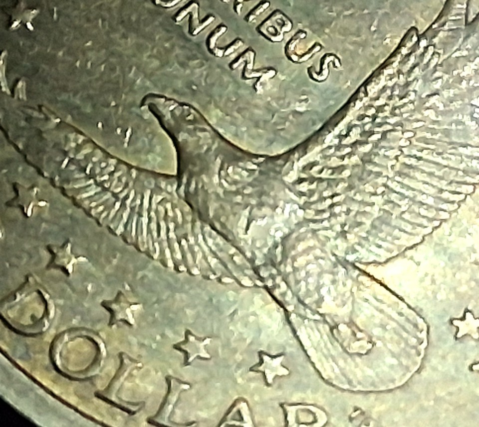 2000 P Sacagewea Rare Possible Wounded Eagle Ungraded U.S Dollar Coin ...