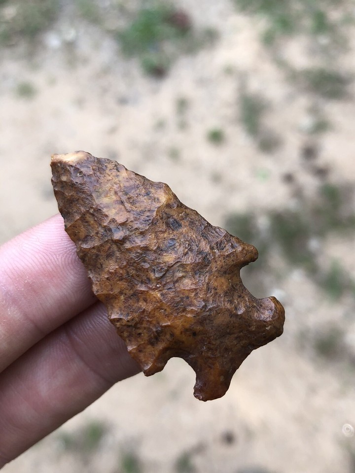 Bolen Bevel Authentic Georgia Florida Native American Artifacts ...