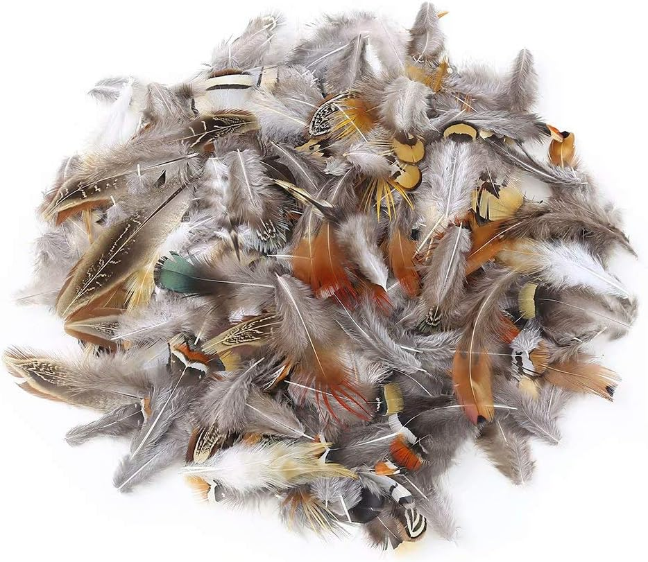 360Pcs 12 Styled Natural Feathers Assorted Mixed Feathers for Jewelry ...