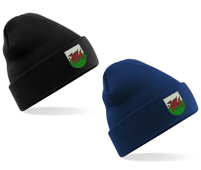 Embroidered Welsh Dragon Battle Shield Beanie Cap Flag Of Wales Cymru ...