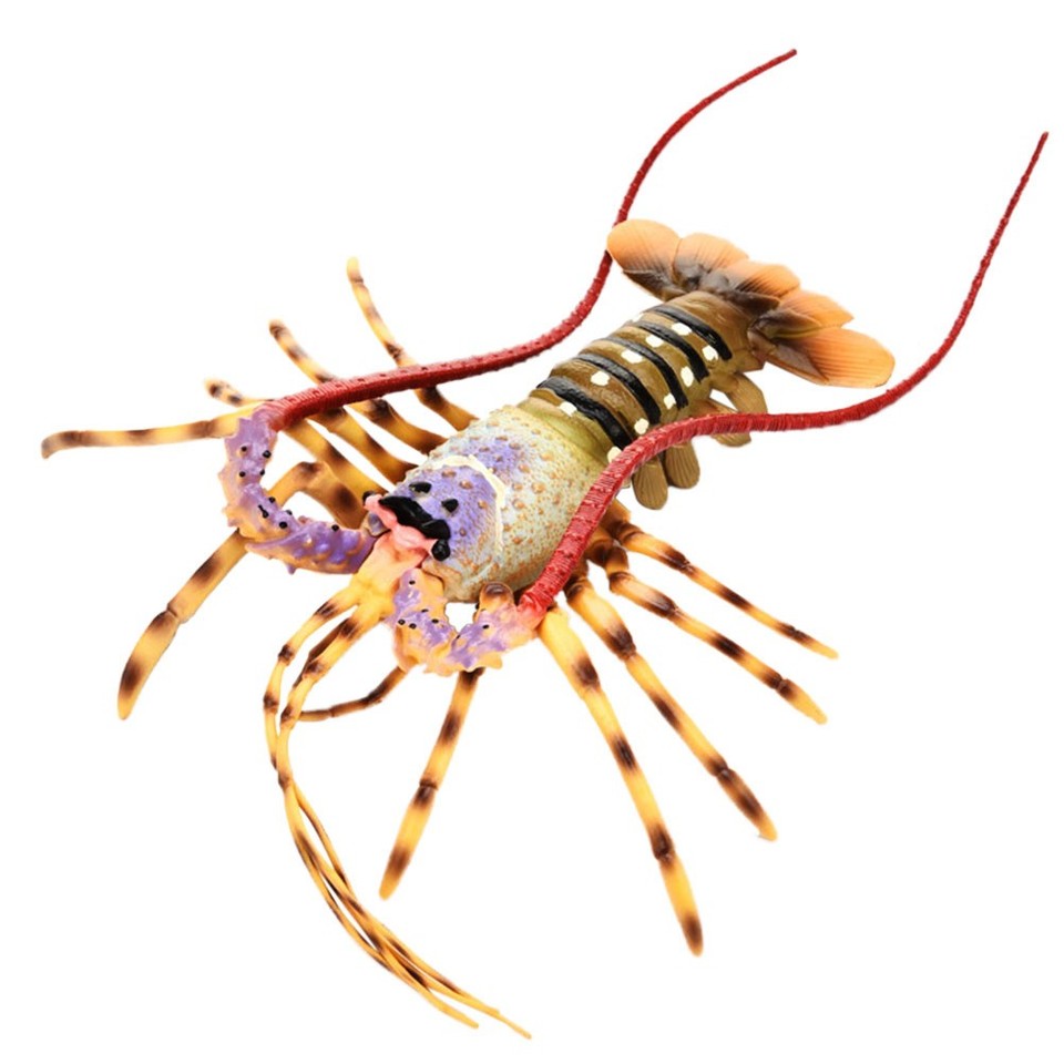 Lobster Model Creative Lifelike Lobster Decor Funny Toy Lobster for ...