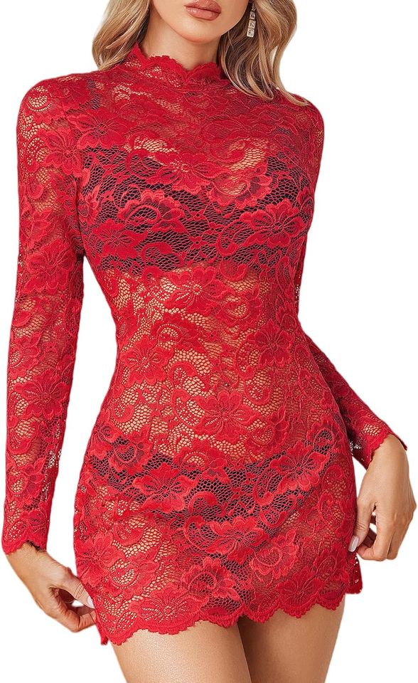Womens Sheer Lace Dress Sexy Long Sleeve Dress See through Lingerie ...