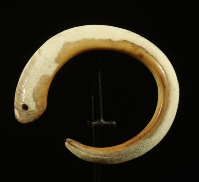 Pacific Islands & Oceania - Pig Tooth