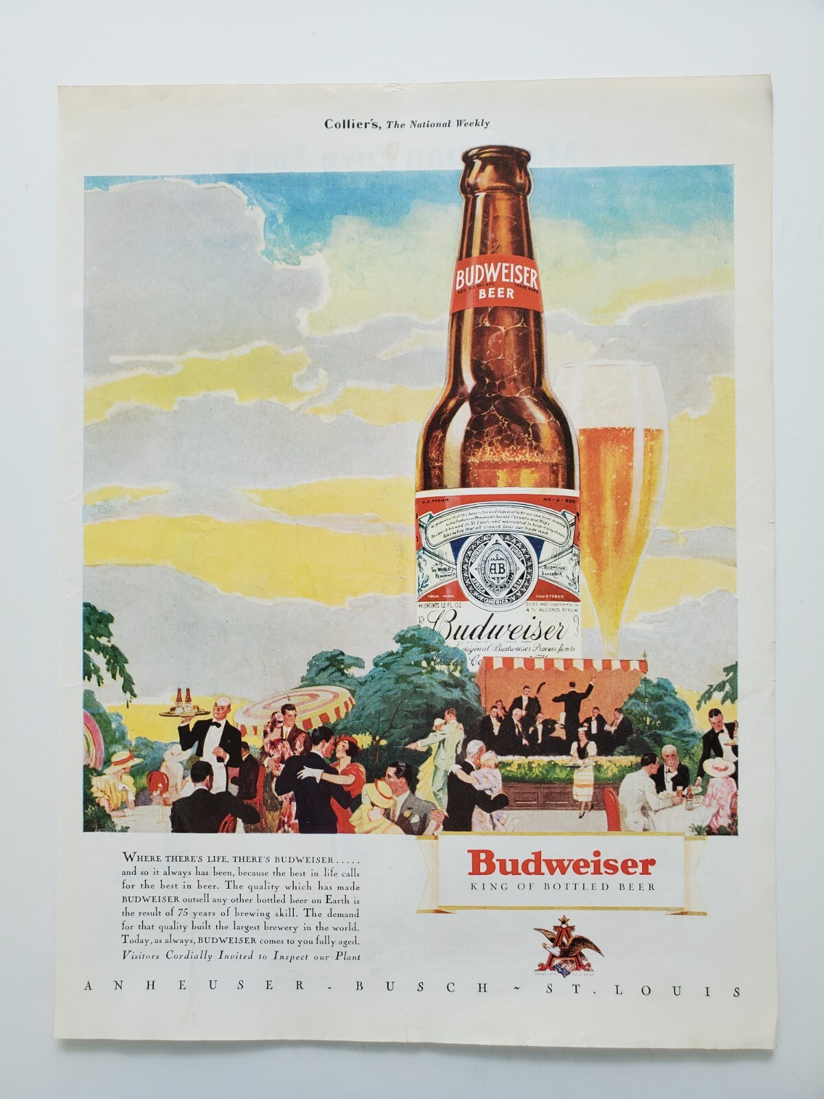 Budweiser Beer Can Drawing