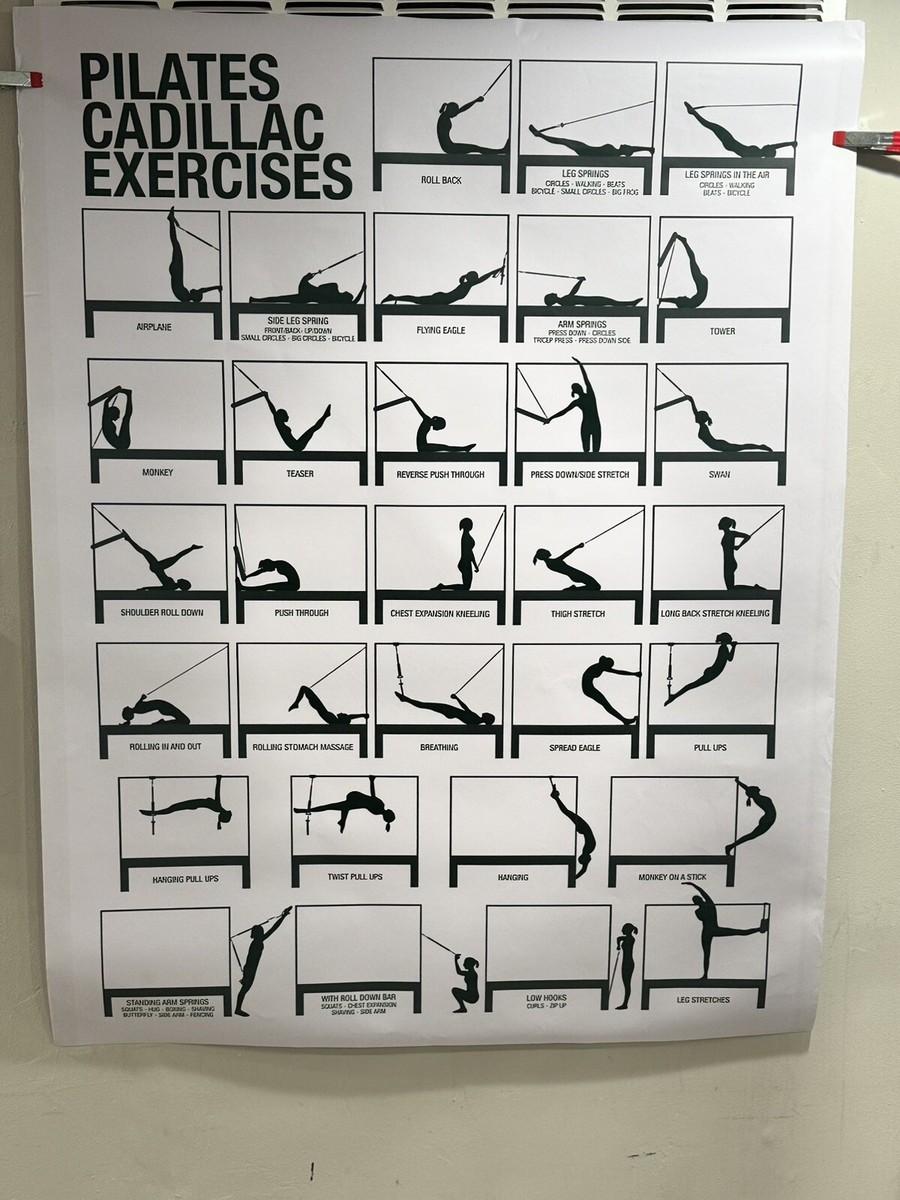 Weider Ultimate Body Works Exercise Chart