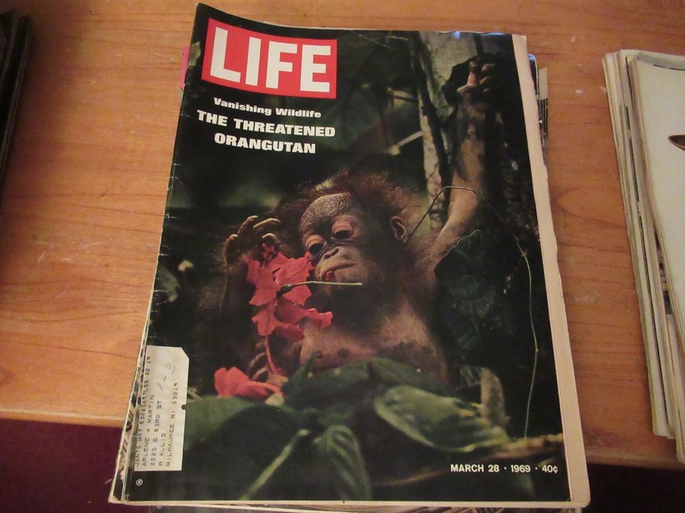 Life Magazine 1969 PICK YOUR ISSUE(s) DISCOUNT FOR MULTIPLE updated 3/9 ...