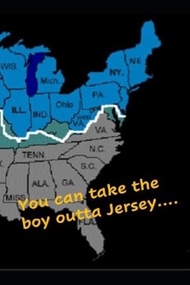 You can take the boy outta Jersey... by Dave Goren Paperback Book | eBay
