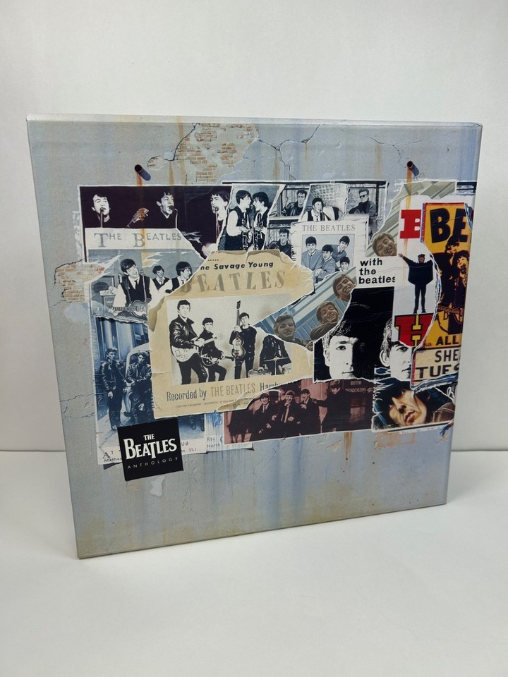 MINT The Beatles Anthology LaserDisc Box Set 1996 Pioneer LD Rare ...