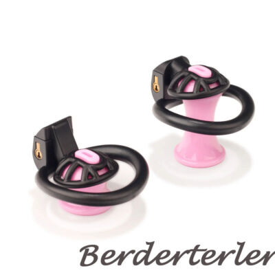 New Sissy Positive/negative Chastity Cage Lock with 4 Rings Inverted ...