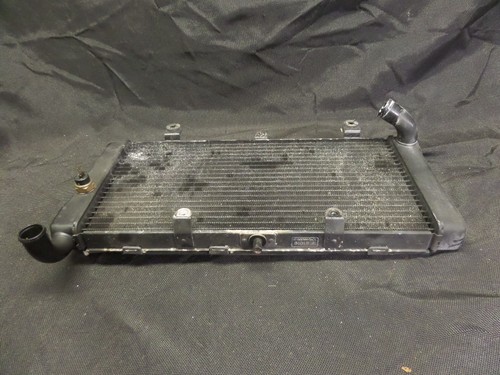 2001 Honda ST1100 Radiator Temperatur Sensor Gitter Schutz | eBay.de