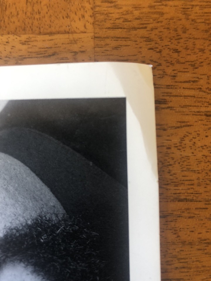 Stew Music Duo VNTG Rare 10x8 Press Photo Mark Lemar Stewart & Heidi ...