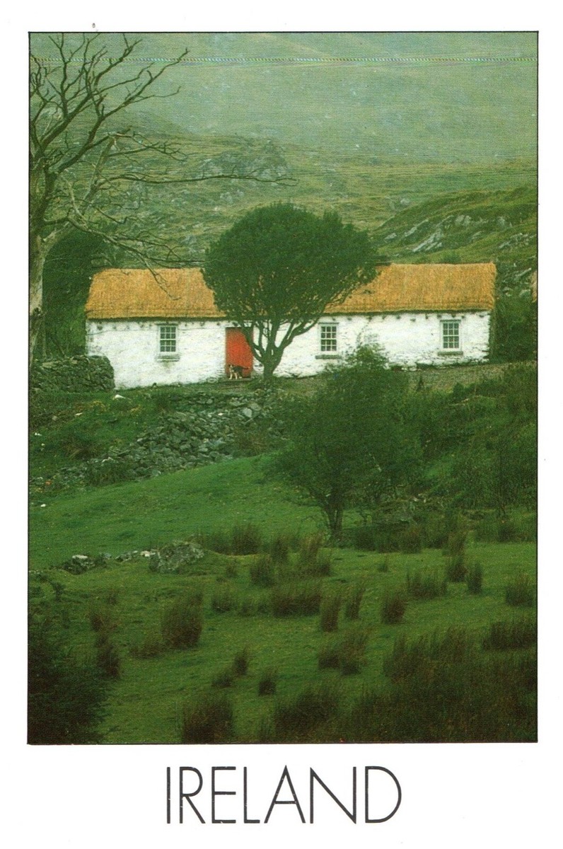 Vintage Postcard Irish Cottage