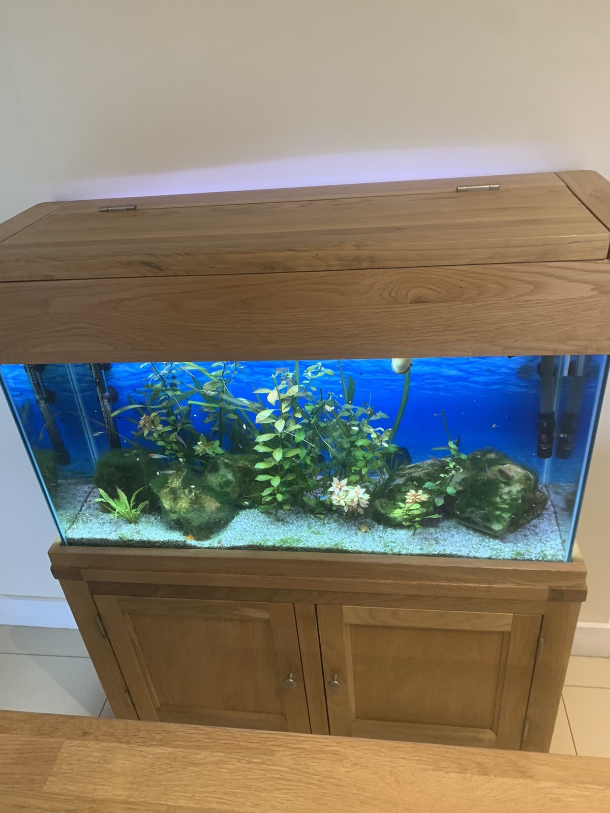 Solid Oak Fish Tank Cabinets | Cabinets Matttroy