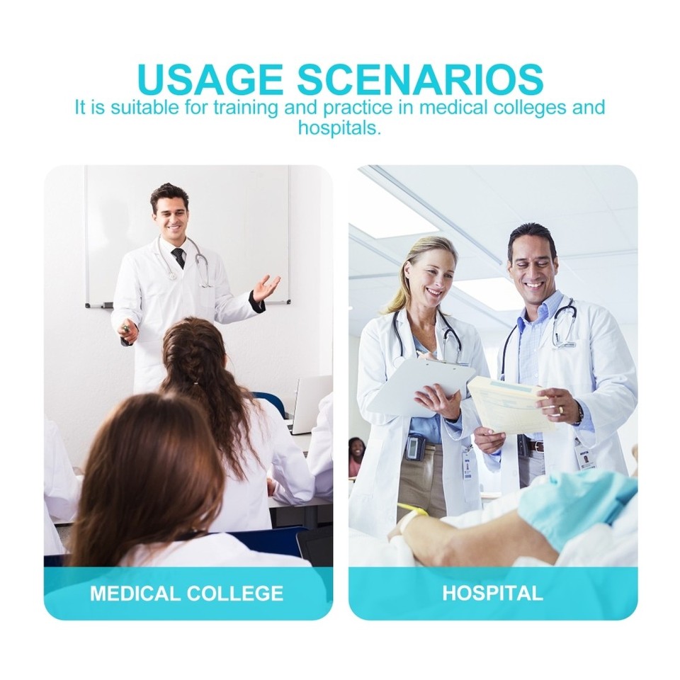 1lb Fat Model Manikin Body Anatomical Physiology Demo Device | eBay